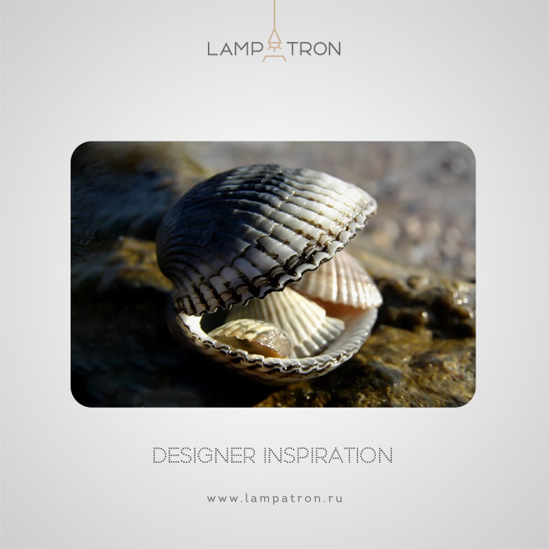 Бра CONCH WALL. Контроль качества. Официальная гарантия. LAMPATRON: Официальный интернет-магазин ...